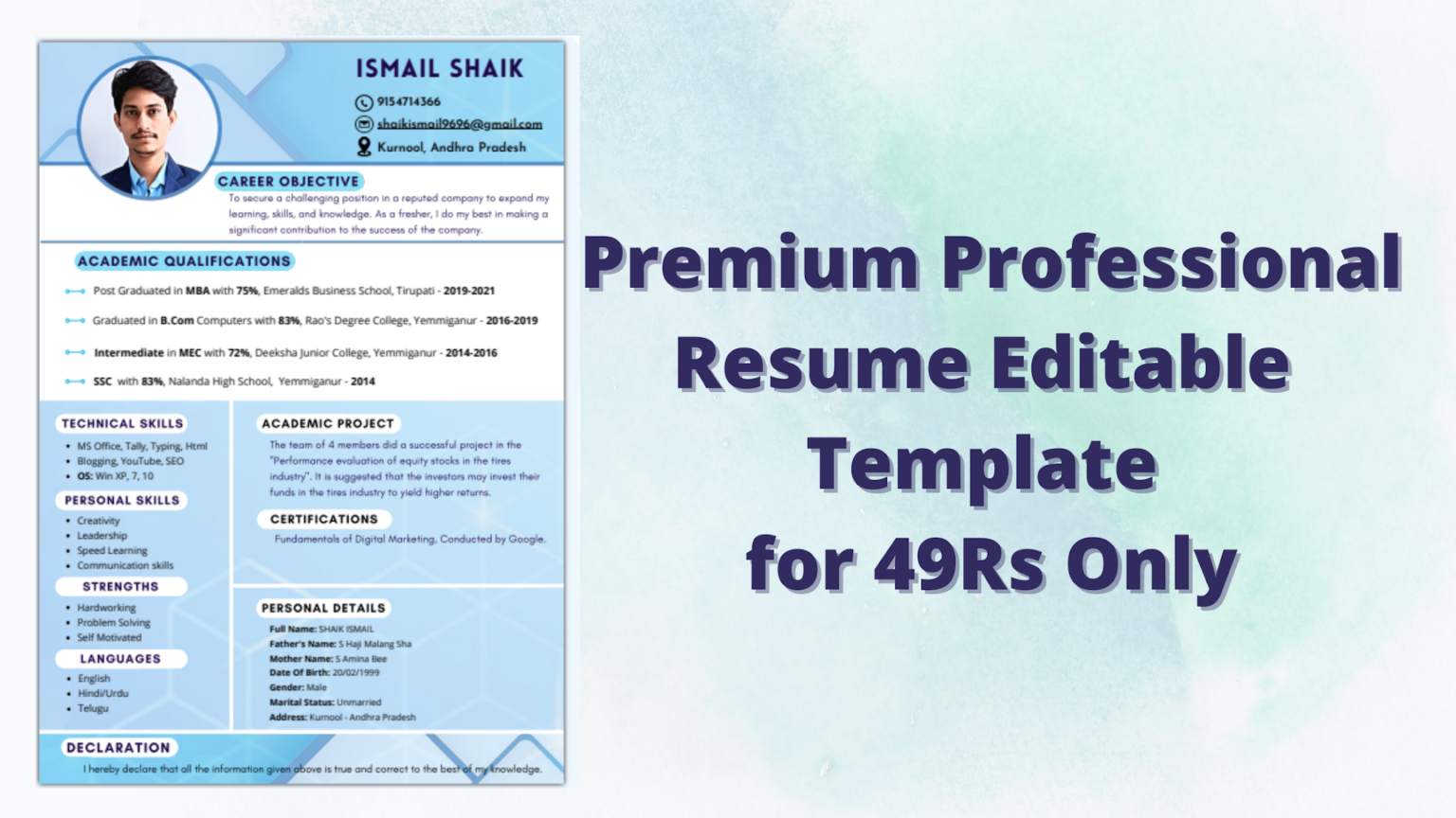 Premium Resume Template Download With Professional Look